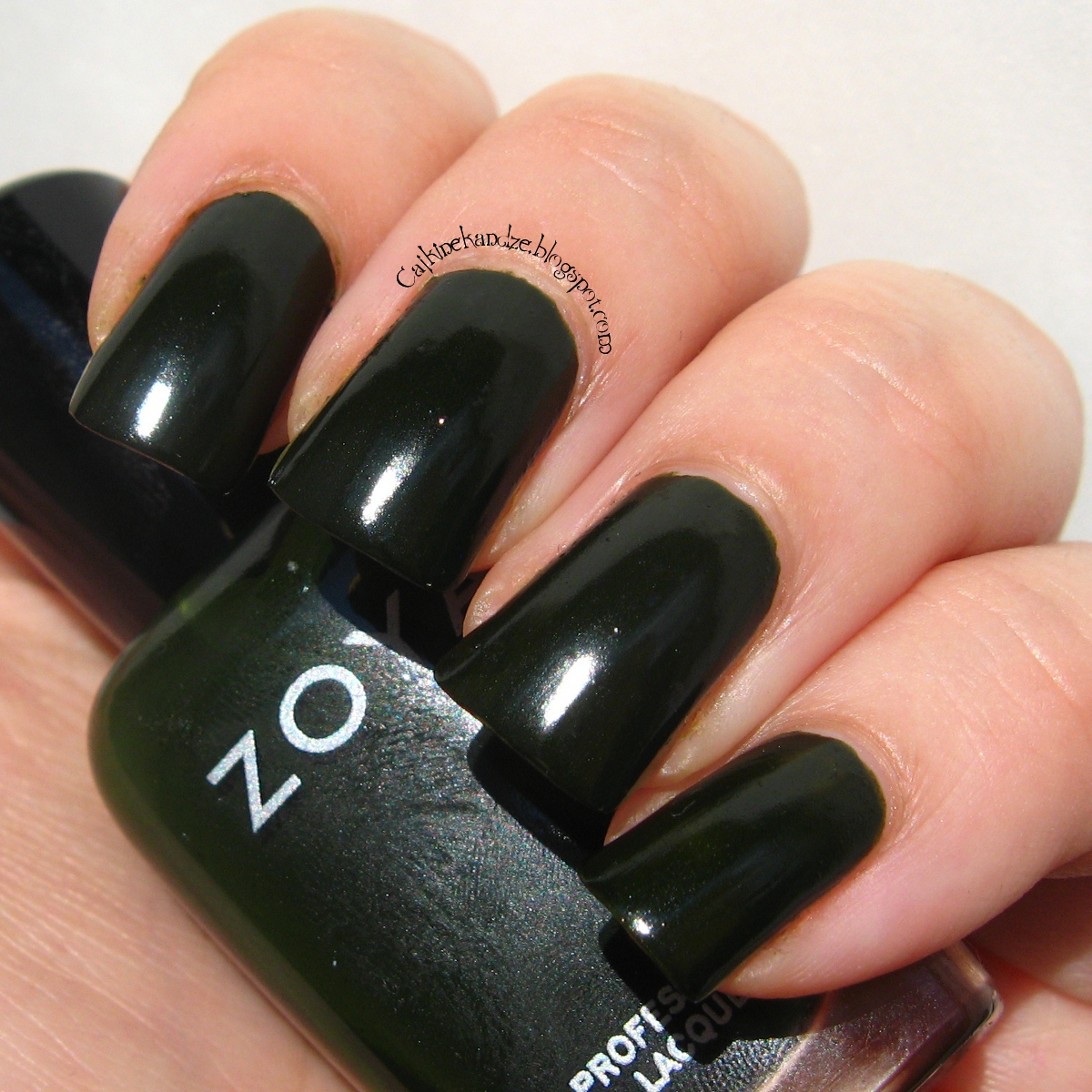 Zoya Envy | Cajkine kandže i sve njihove boje