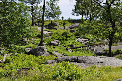 Harriman Hiker: Harriman State Park and Beyond: Hogencamp Mountain