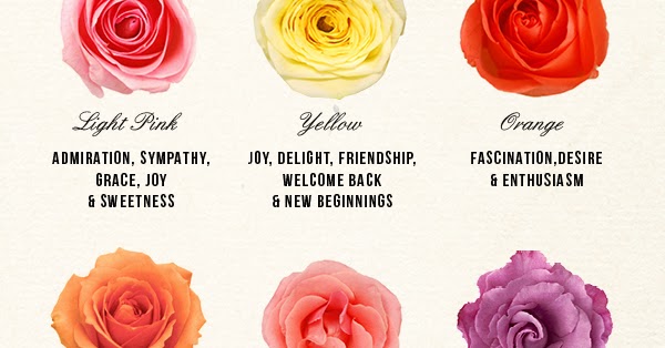 The Meaning Of Rose Colors
