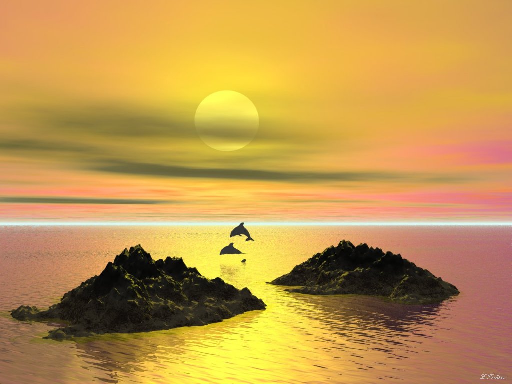 Delphine wallpaper HD - Imagui