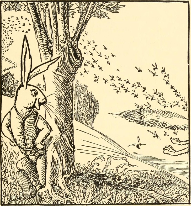 PowerOfBabel: Rascally Rabbits