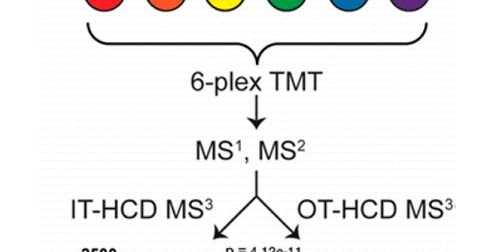 News in Proteomics Research: MS3 TMT -- in the ion trap or the Orbitrap?