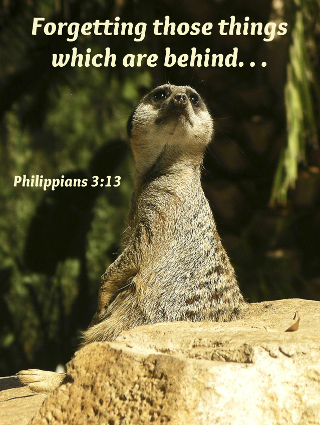 A Word Fitly Spoken: Forget About It