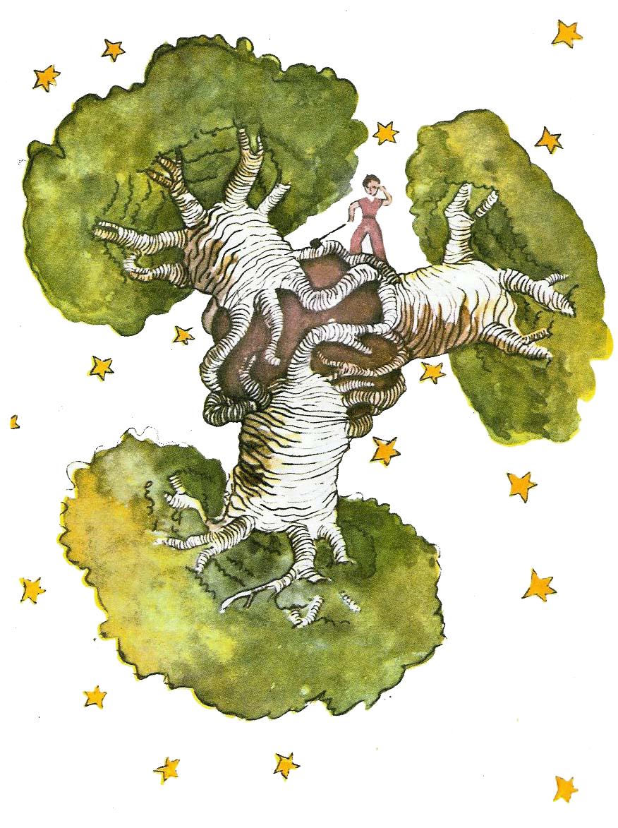 Malý princ | Beznadějná