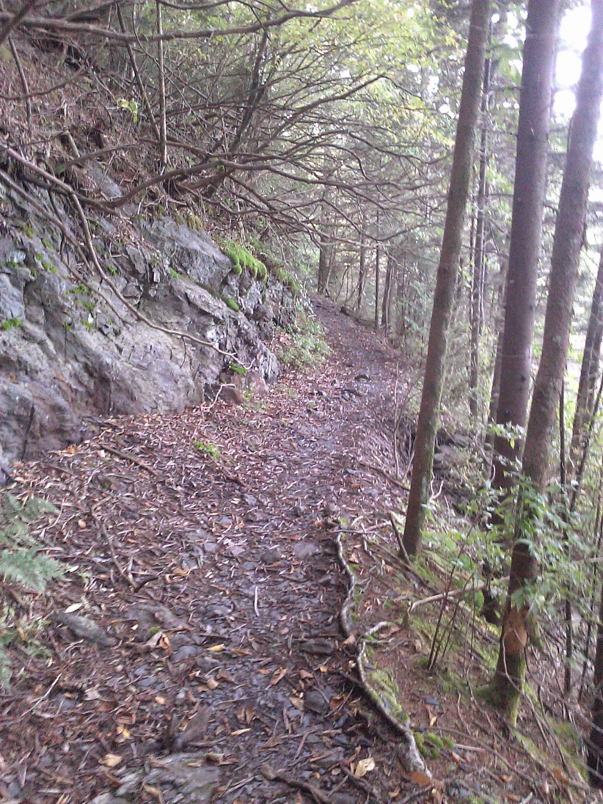 Hikes: AT (NFG to Snake Den) - Snake Den