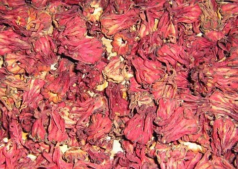 18+ Populer Simplisia Bunga Rosella