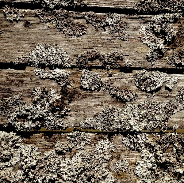 WABI SABI Scandinavia - Design, Art and DIY.: Rustic and raw living ...