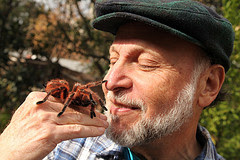 Entomologists vs Volcano Chasers