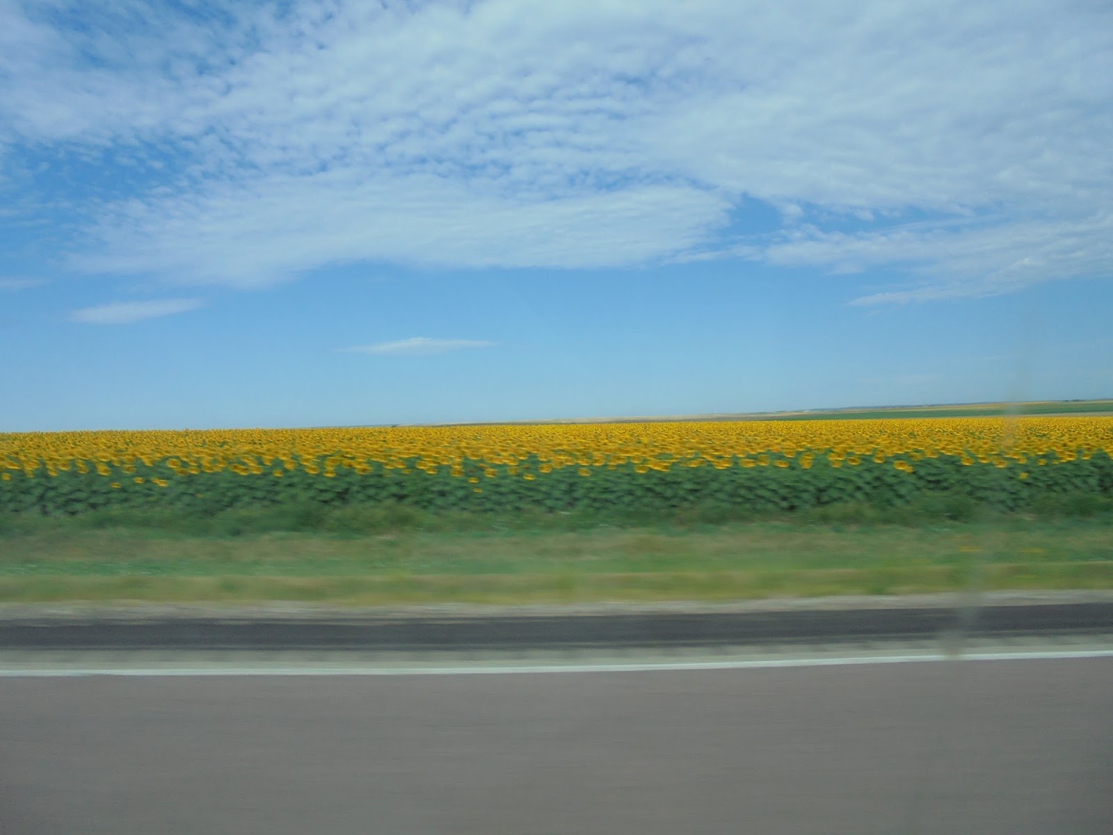 Elder Tyler Brinkerhoff: August 2016