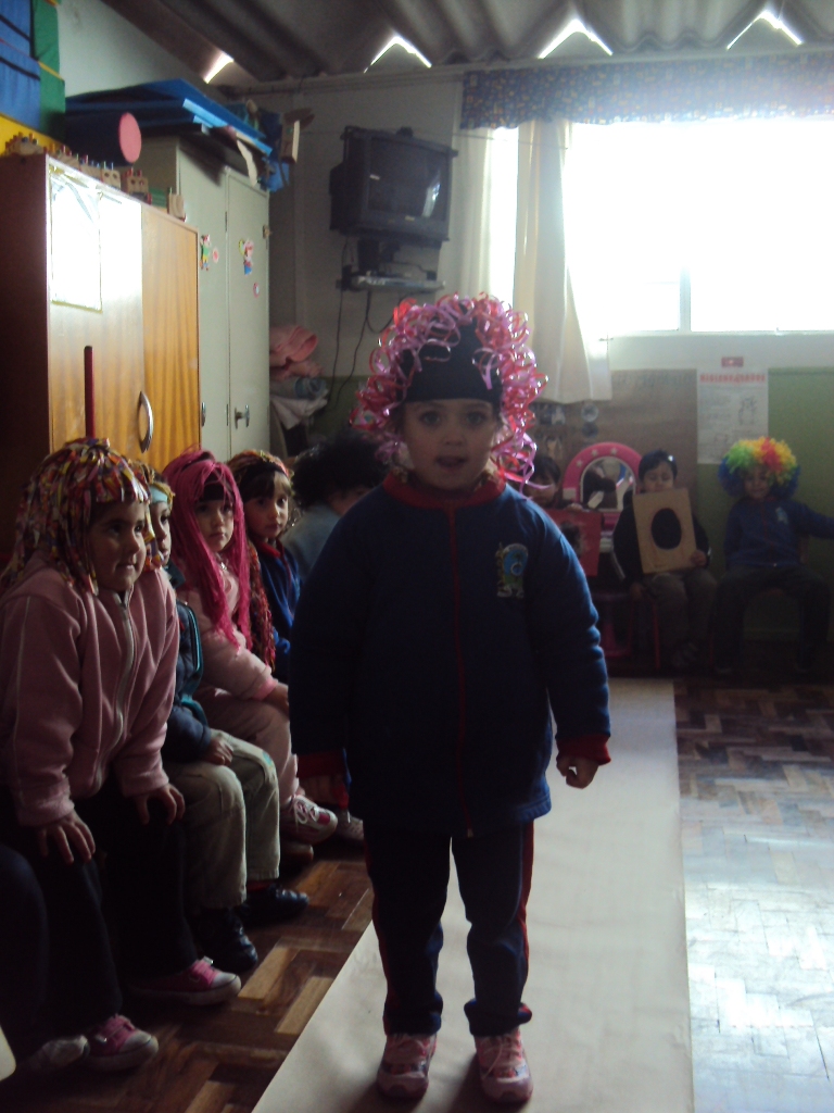 Cmei Nair Mafalda Zaniolo: PROJETO LOIRO, MORENO, CARECA CABELUDO: VOCÊ ...