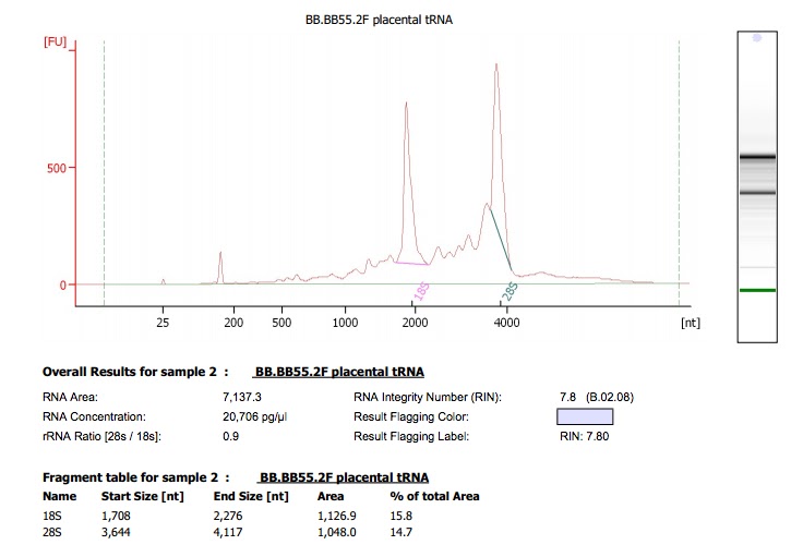 Phodopic Science: RNA extractions and bioanalyzer results