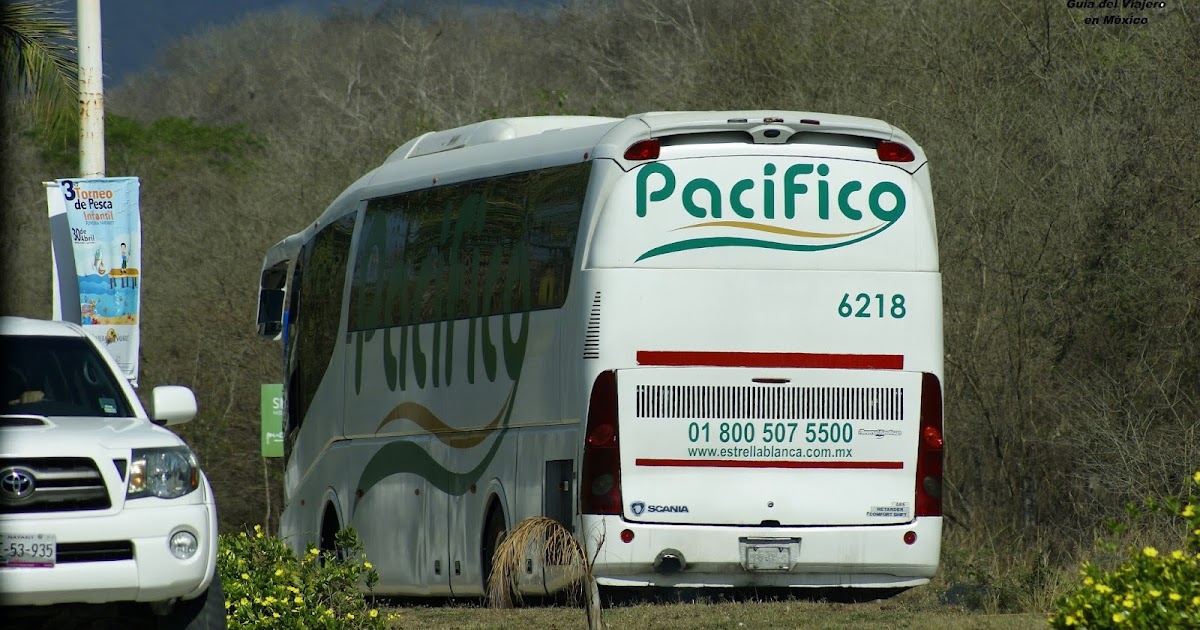 Pacifico