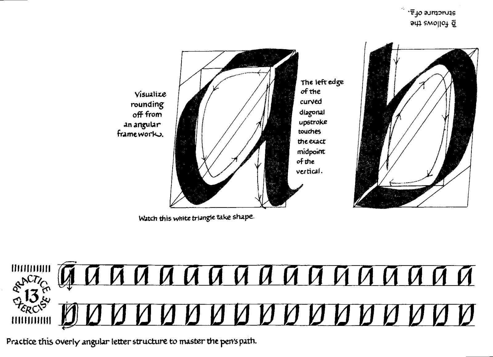 Margaret Shepherd Calligraphy Blog 162 Angular Italic