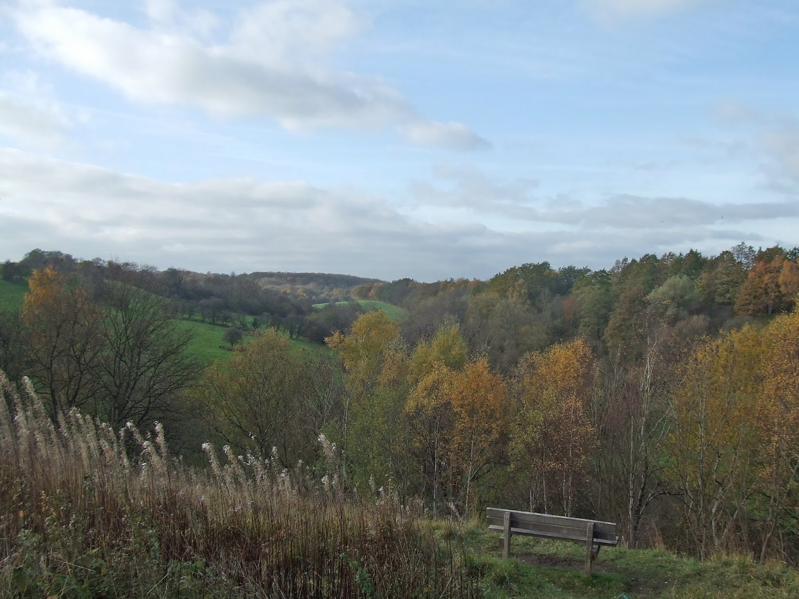Wandering Ash: W/C 16th November 2013 - Teversal and Hardwick Hall