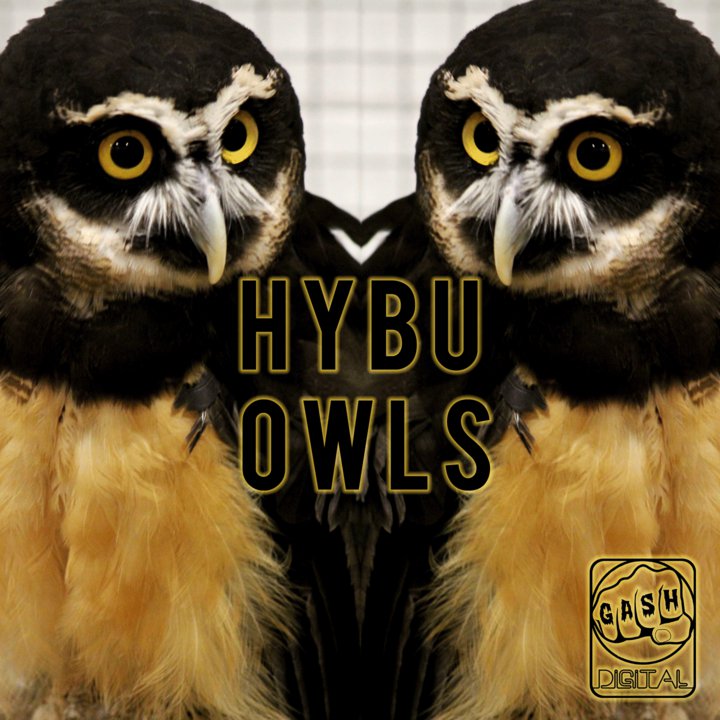 Requiem pour un twister: juillet 2011