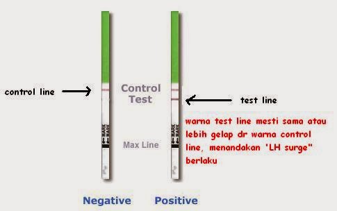 I am a mother of TWO: OPK - Ovulation Predicted Kits