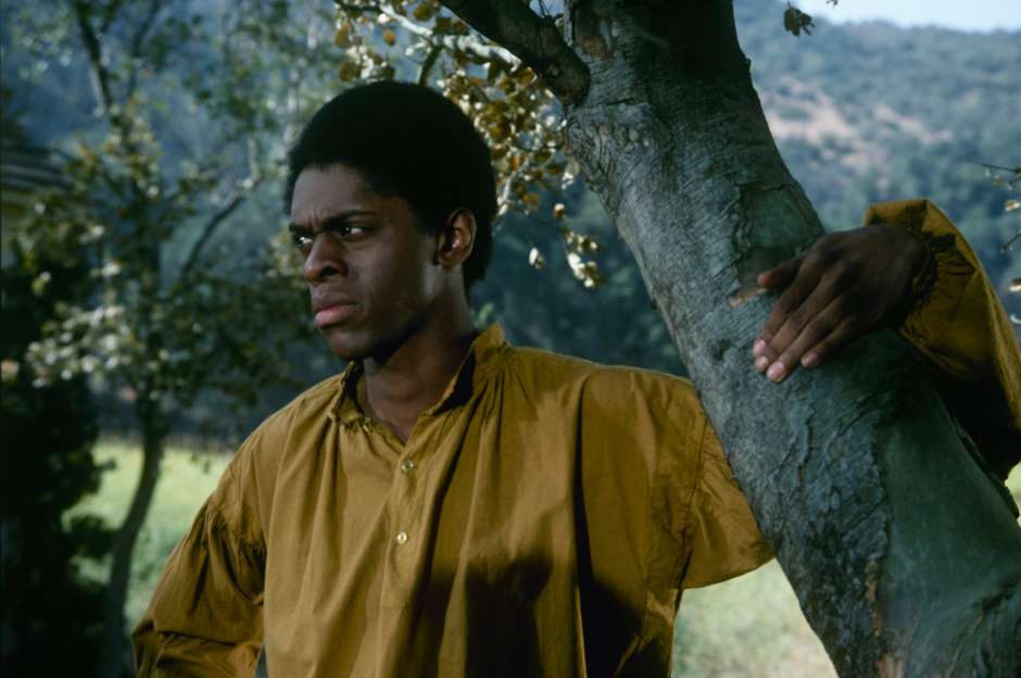 ROOTS- Raíces (1977)