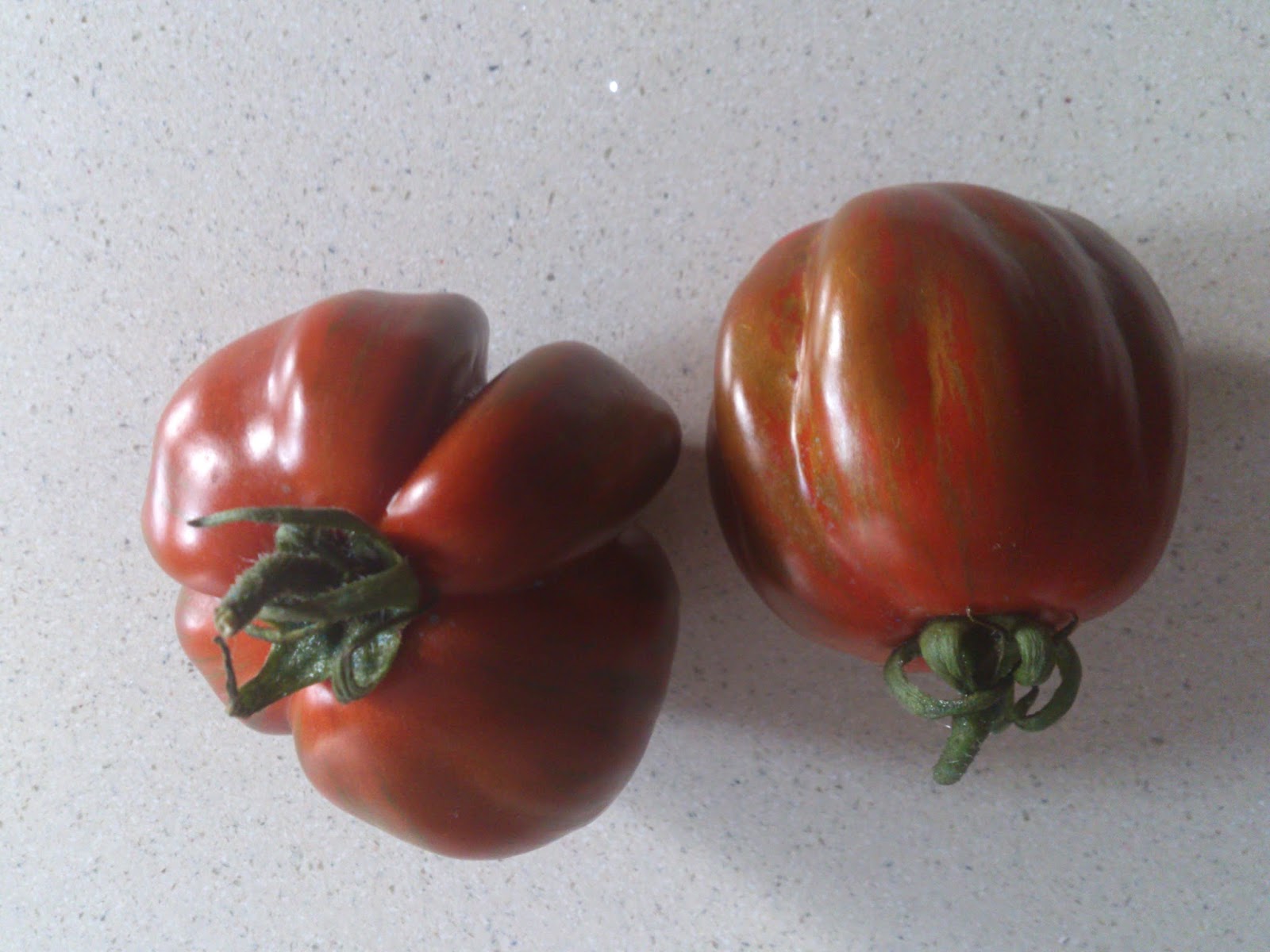 Pelo Nariz Adentro: Tomate Carne Castanha (Brown Flesh Tomato)