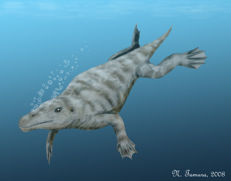 Escenarios prehistóricos: Georgiacetus