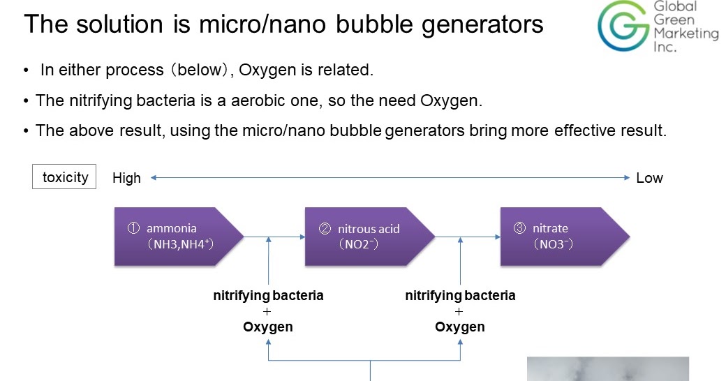 Green Technology Japan: Oxygen for ammonia control