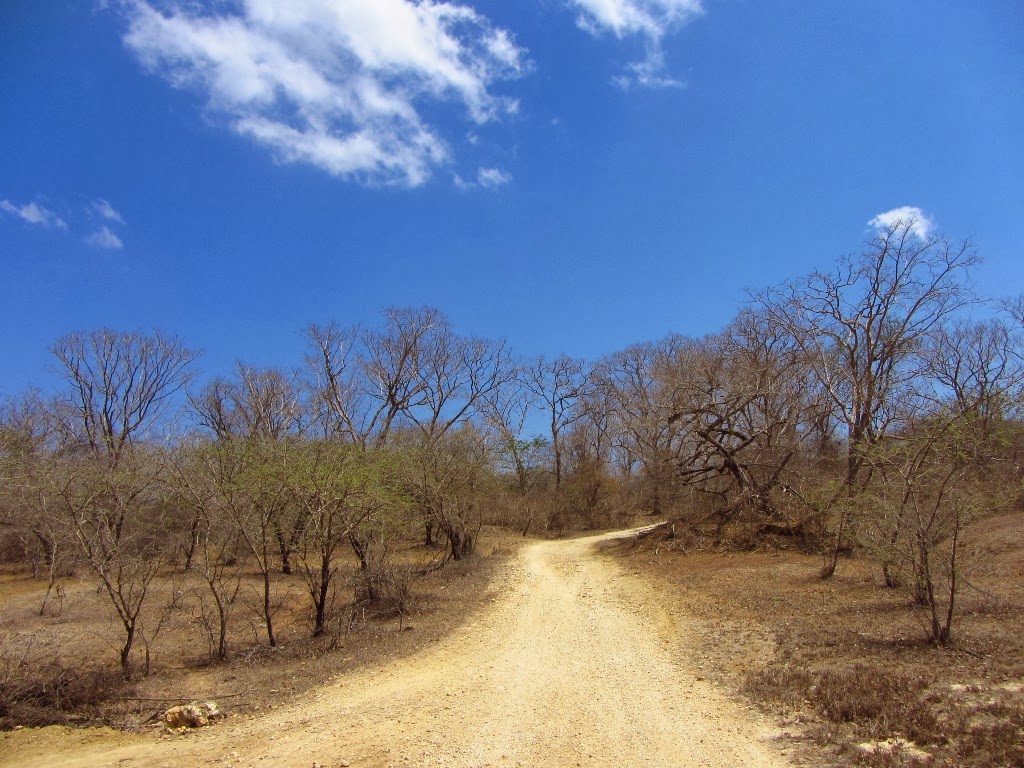 LET'S GO AROUND THE WORLD!!!: PILIH PANTAI SEMAUMU DI PULAU SEMAU!