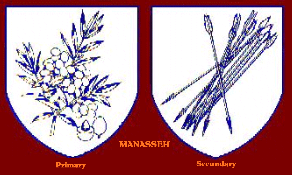 Icono ADN Spain 08: Las Doce Tribus Manasseh ........
