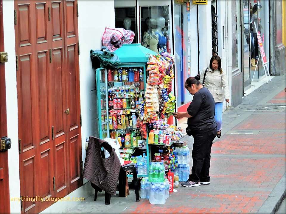 anythinglily: An Excursion To South America: 11.Getting To Know Lima ...