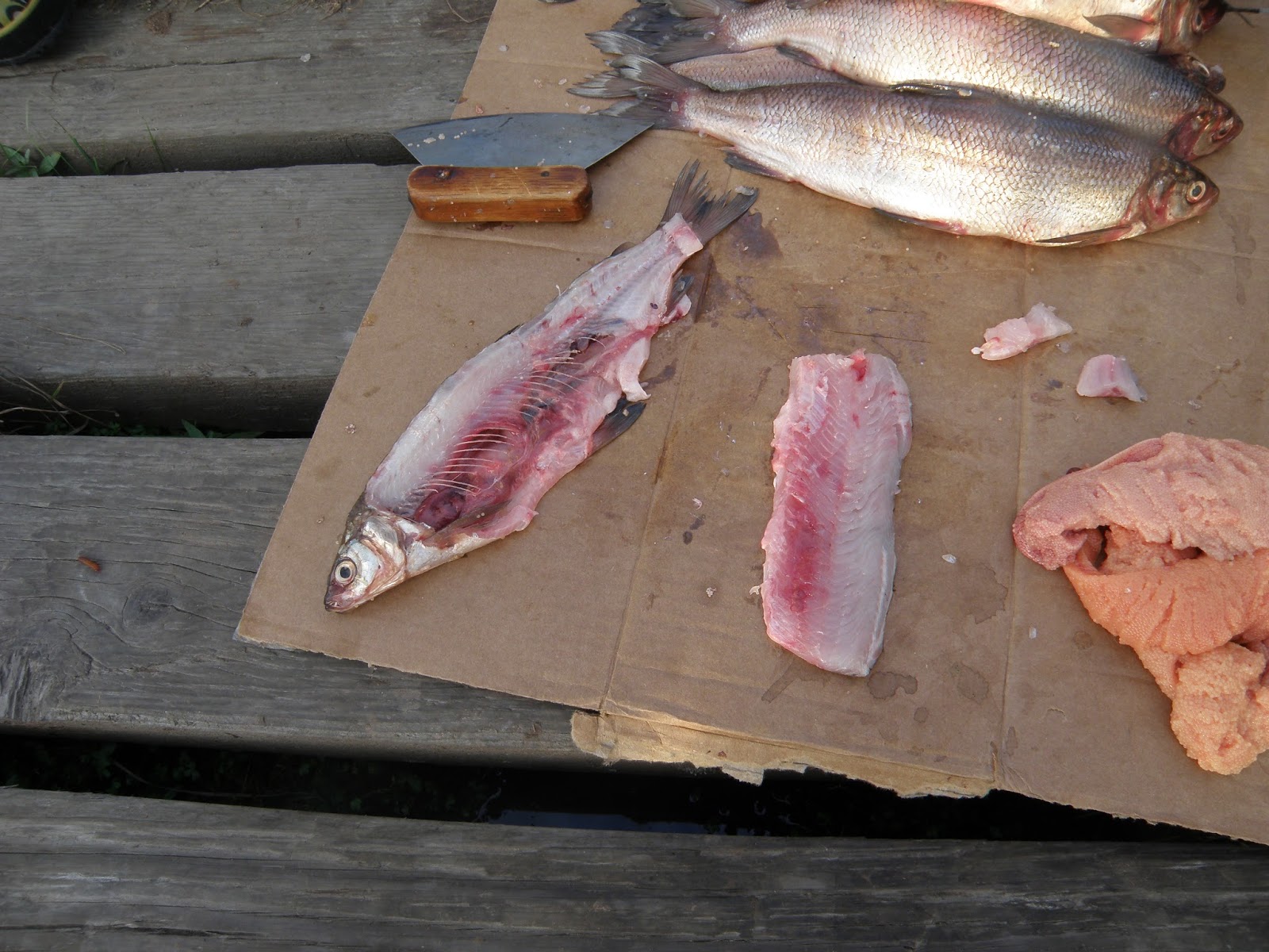 The Hall's Day-to-Day in AK: Stink Fish: A Native Food