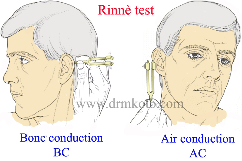 katherine Massiel (semiologia quirurgica): EXAMEN DE CABEZA