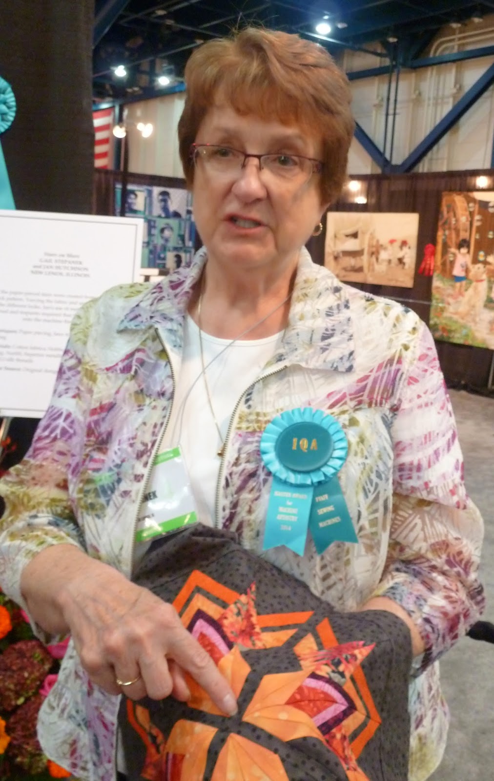 Come Quilt (Sue Garman): The Quilts and Houston - and more