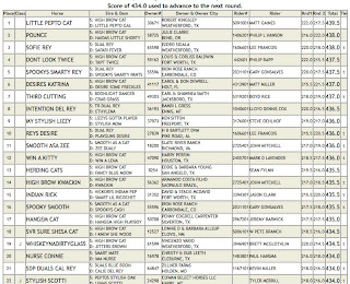 4C Ranch: "The nimwit"