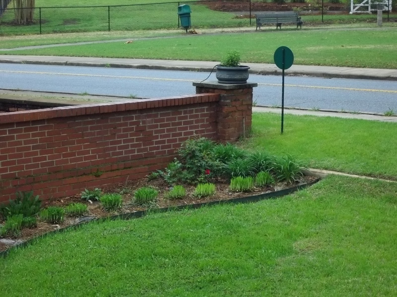 Pinewood Cottage Garden: A quick look at the Sunny Border and White Garden