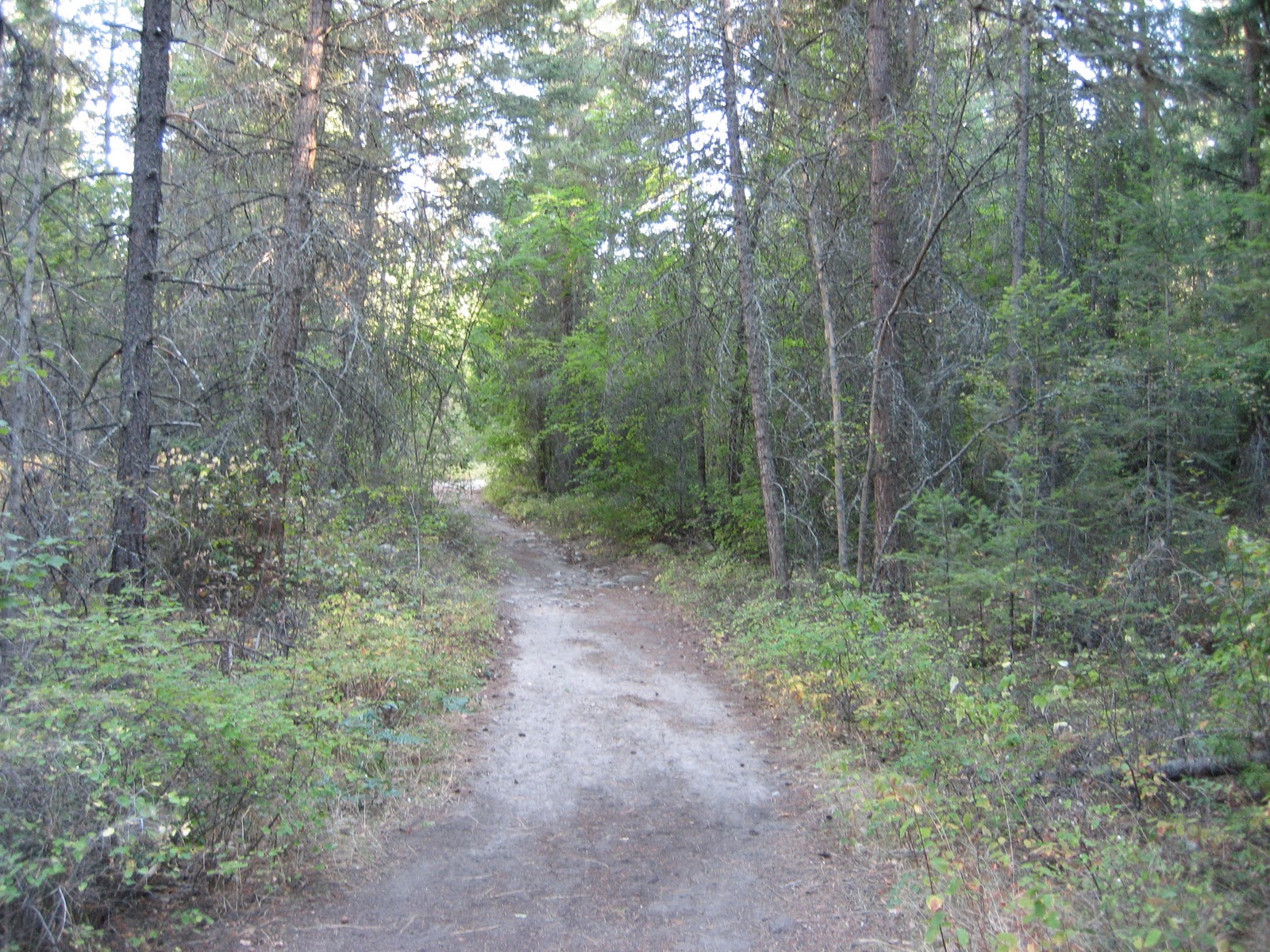 Scenic Canyon Regional Park