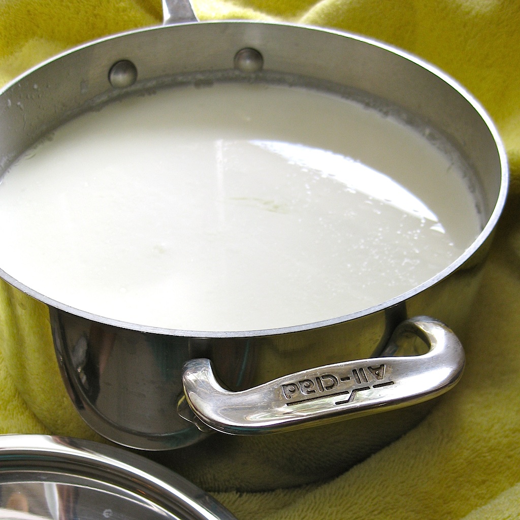 JULES FOOD...: SKYR...Homemade Icelandic Yogurt