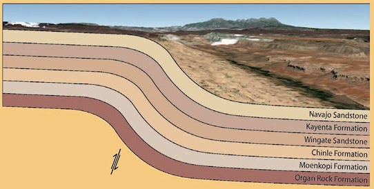 In the Company of Plants and Rocks: bold or striking would at first ...