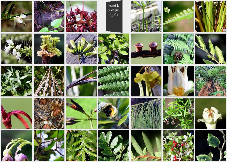 It's Not Work, It's Gardening!: Learning the lingo