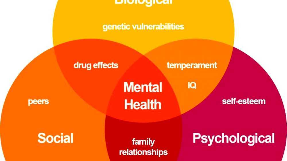 Causes Of Mental Disorders causes-of-mental-disorders