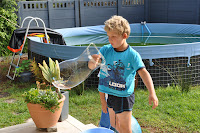 CoolScience: Big Bubbles