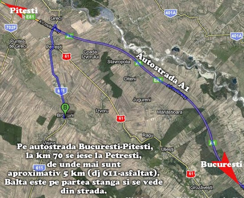 Pasiunea Pescuitului: Balta Brosteni