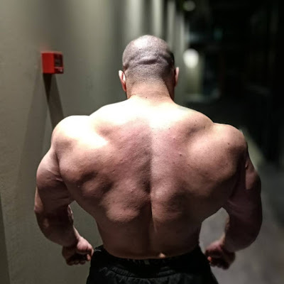 Muscle Lover: Israeli IFBB Pro bodybuilder Sahar Kazes