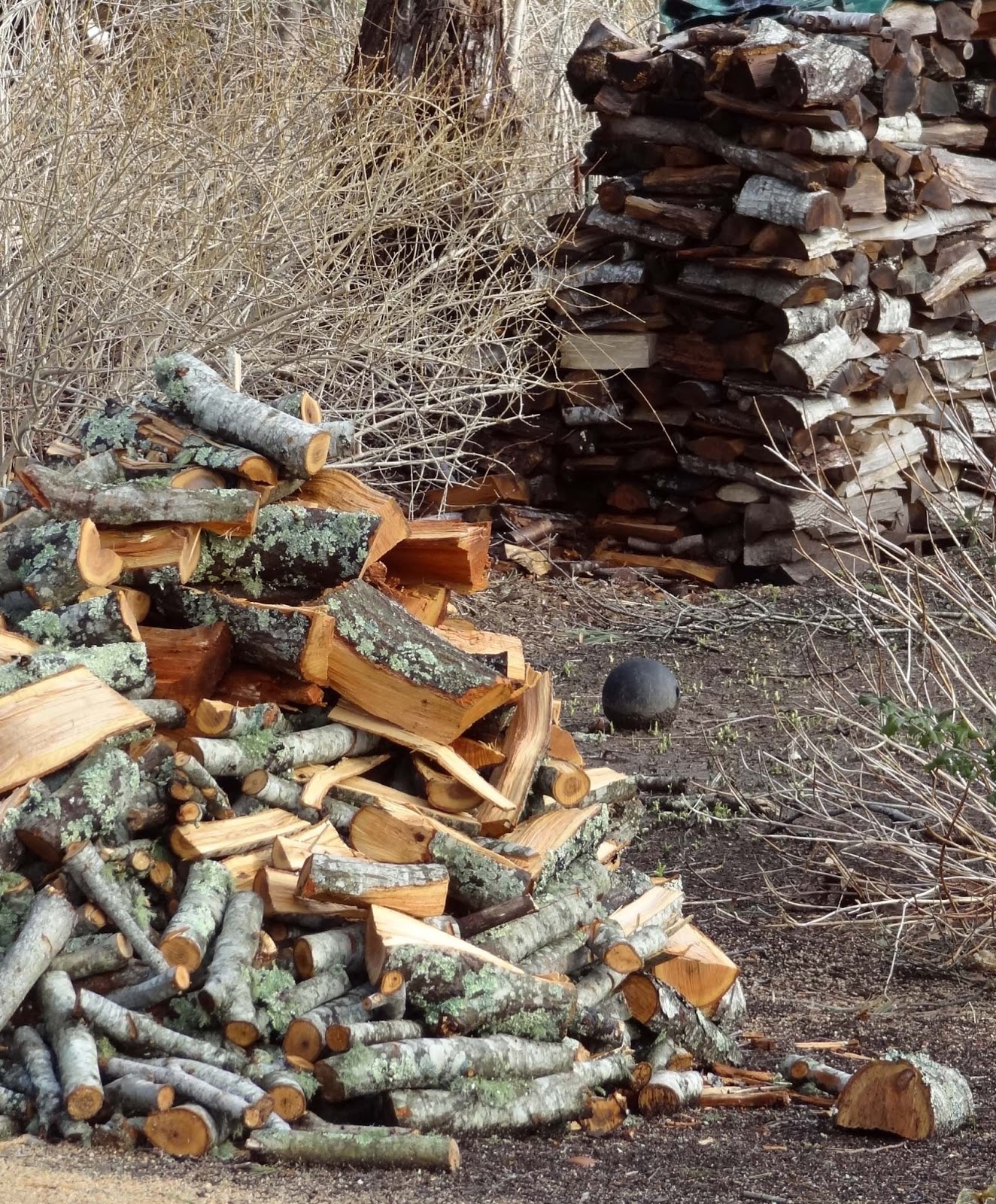 Joe's Retirement Blog: Wood, Manomet, Plymouth, Massachusetts, USA