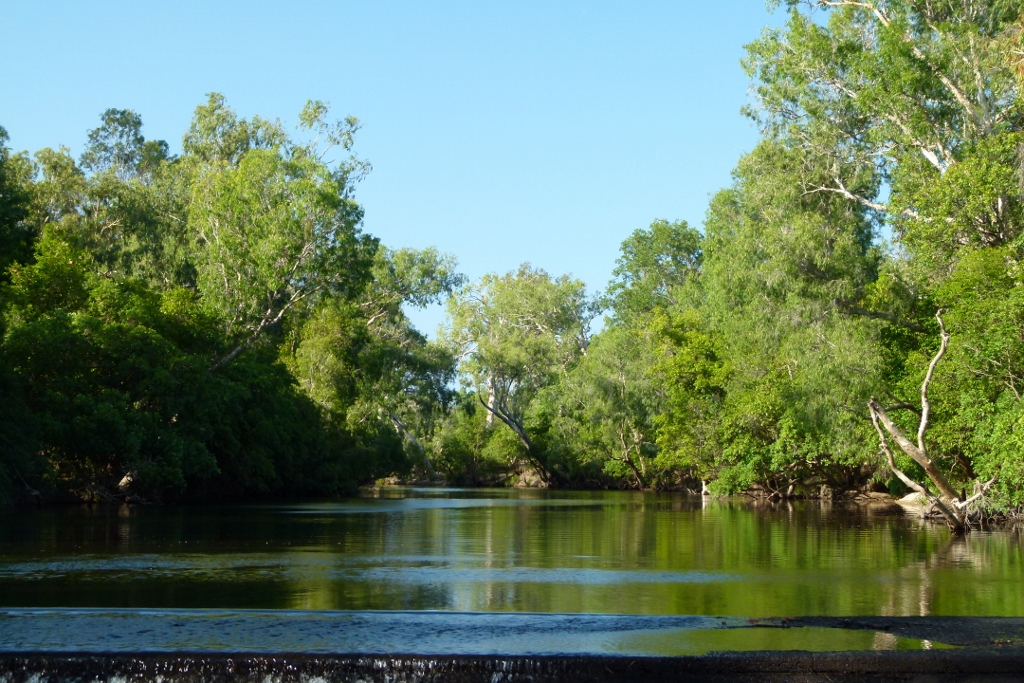 Where is Bear..Raz, Magi, Digs and Miranda?: Cooktown Crossing: "Mummy ...
