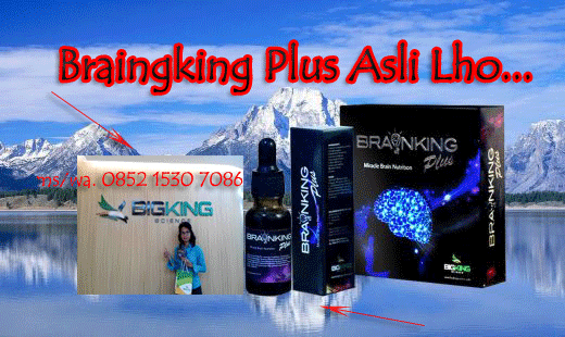 Brainking Plus Asli : Yang Sudah Merasakan Manfaat Brainking Plus