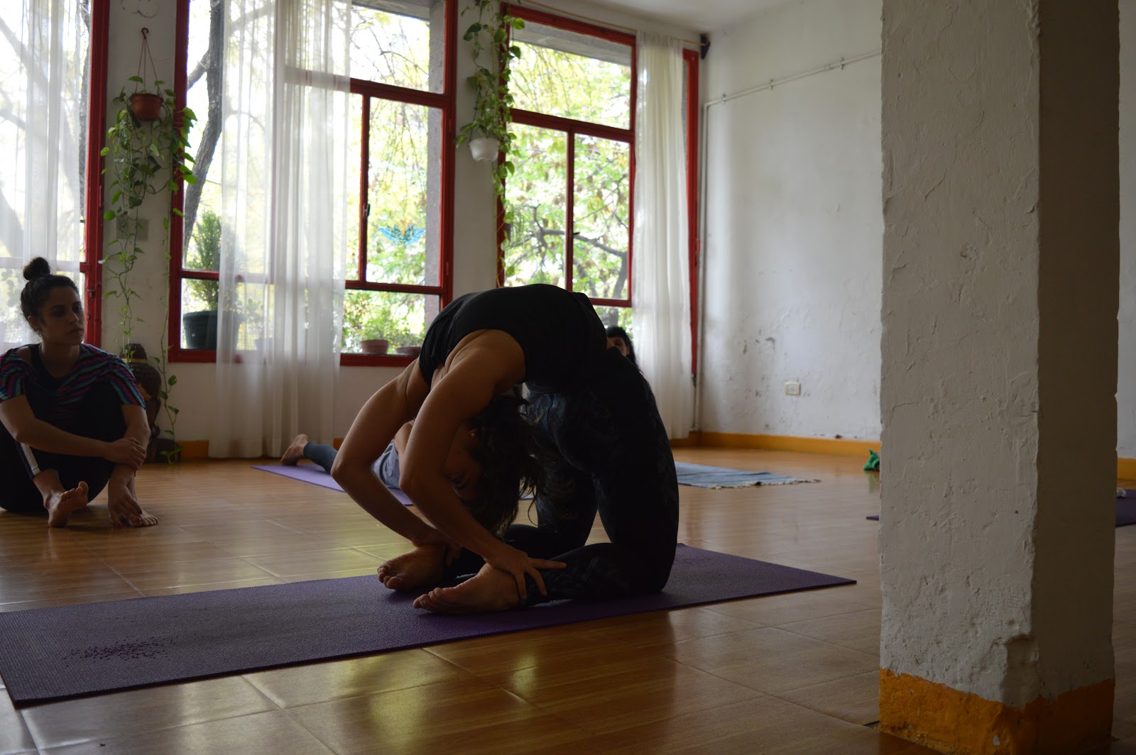 Ashtanga Yoga Shala - Patricia Aballay: TALLER DE FLEXIBILIDAD Y ...