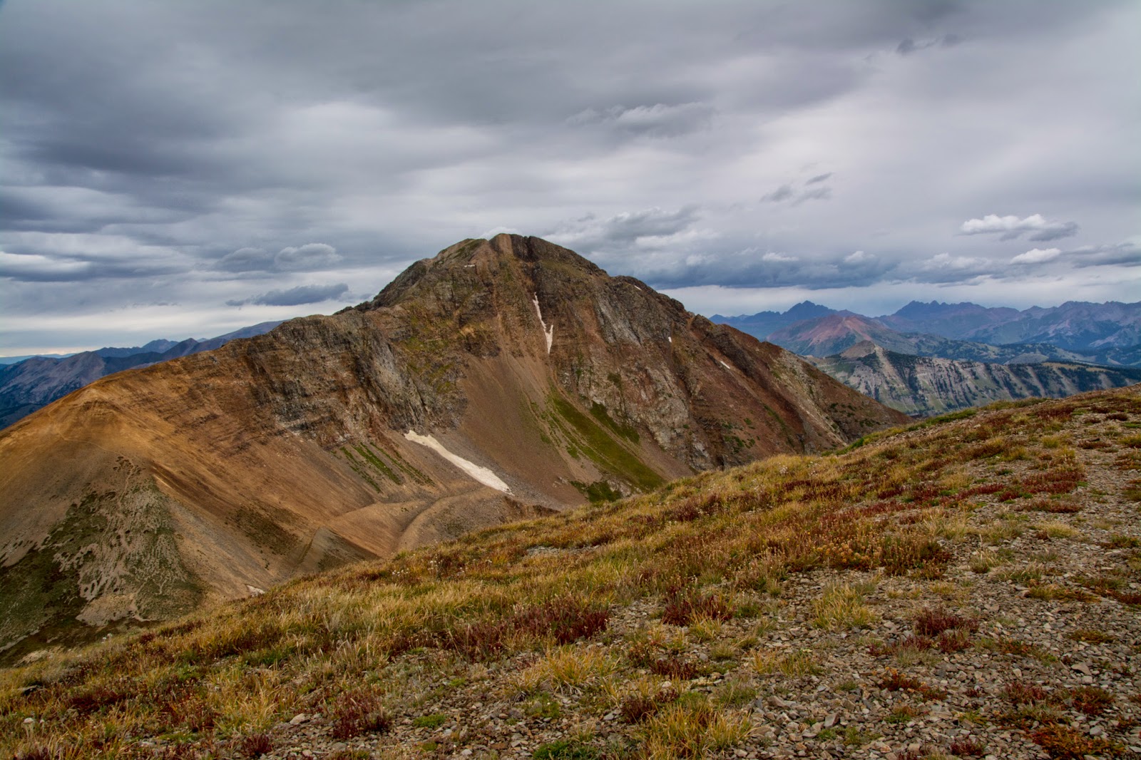 A Tree Falling: Ruby Peak