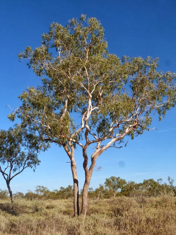 Ian Fraser, talking naturally: Bladensburg National Park
