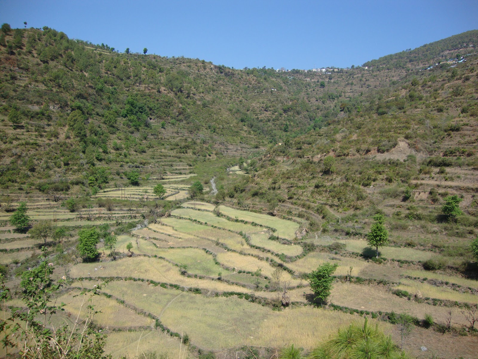 Tehri Garhwal: Tehri Garhwal District, Uttarakhand