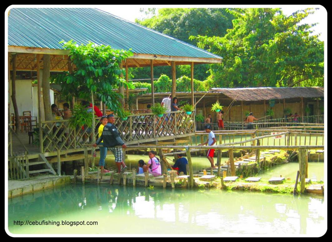Fishing in Cebu: Tilapia Fishing in Cebu