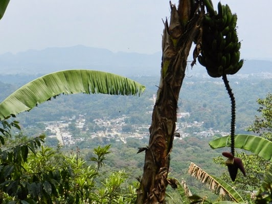 Pensamiento Libre: EL CERRO ACAMALIN DE XICO...