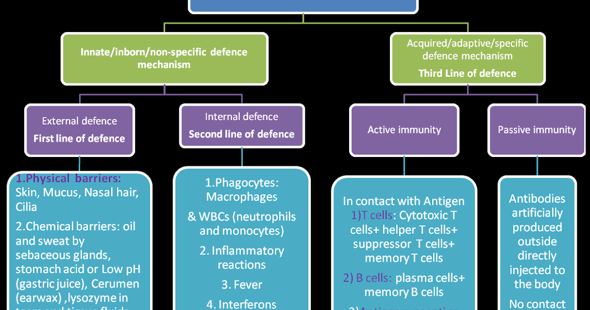 Immunology Notes on Innate immunity or Non-specific defence mechanism ...